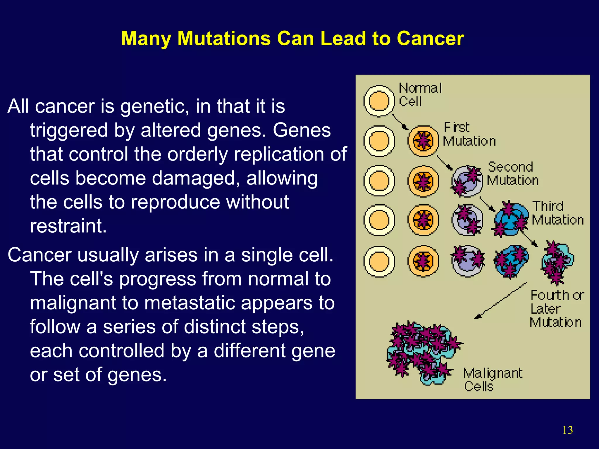 The Cell Cycle and Cancer | PPT
