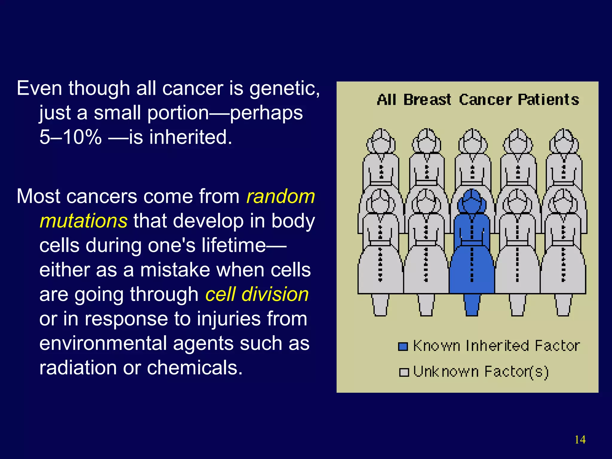 The Cell Cycle and Cancer | PPT