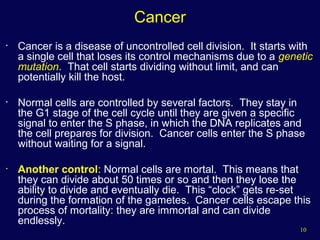 The Cell Cycle and Cancer | PPT