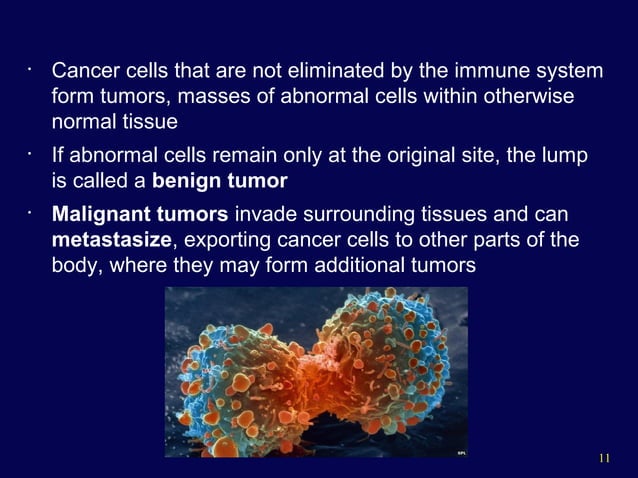 The Cell Cycle and Cancer | PPT | Cancer | Diseases and Conditions