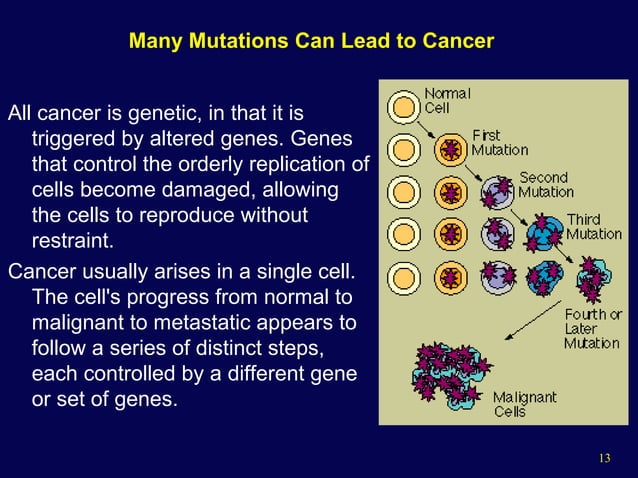The Cell Cycle and Cancer | PPT | Cancer | Diseases and Conditions