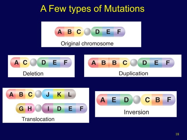 The Cell Cycle And Cancer Ppt Cancer Diseases And Conditions