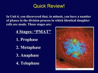 The Cell Cycle and Cancer | PPT