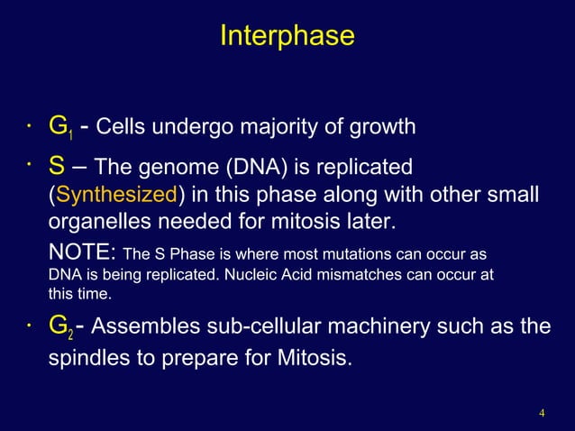 The Cell Cycle And Cancer Ppt Cancer Diseases And Conditions