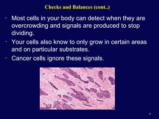 The Cell Cycle and Cancer | PPT