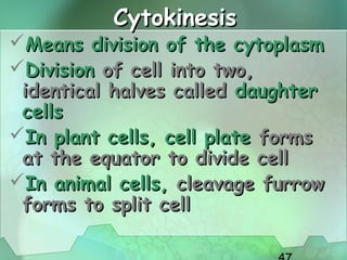 Cell cycle, Mitosis, Meiosis | PPT