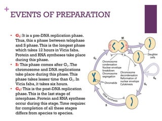 Cell cycle & cell division. 1.02.28 pm | PPT