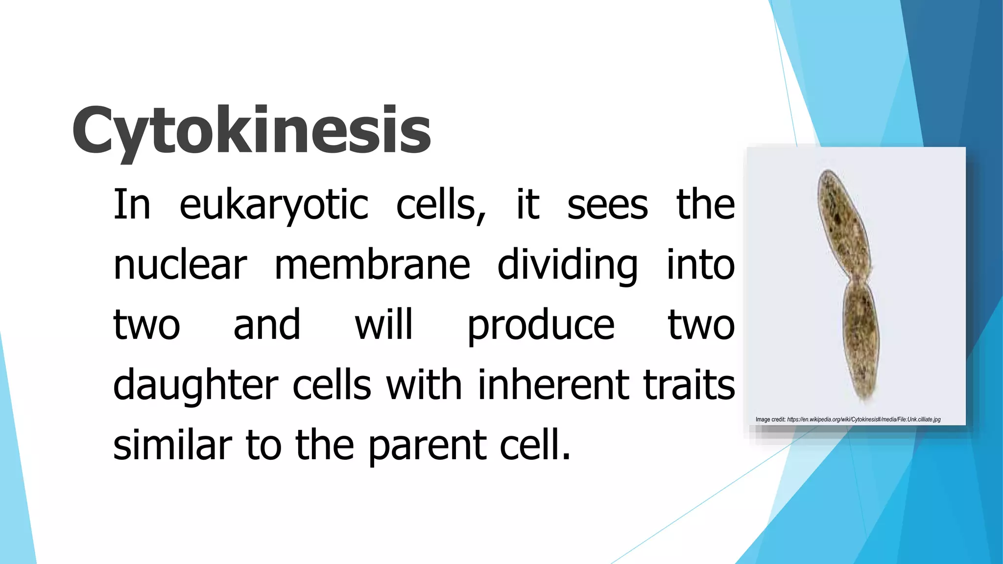 CELL CYCLE & CELL DIVISION.pptx