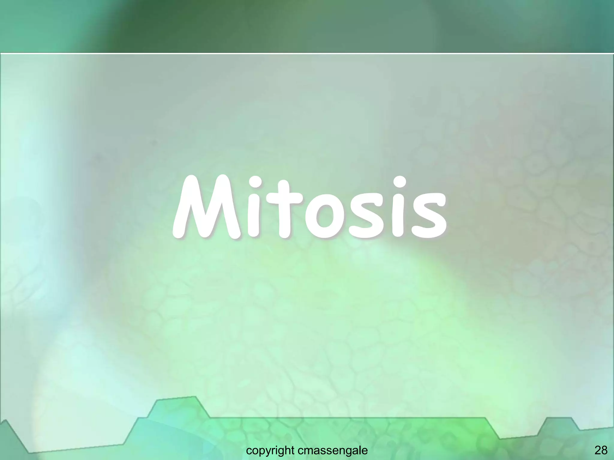 Cell Cycle & Cell Division.ppt
