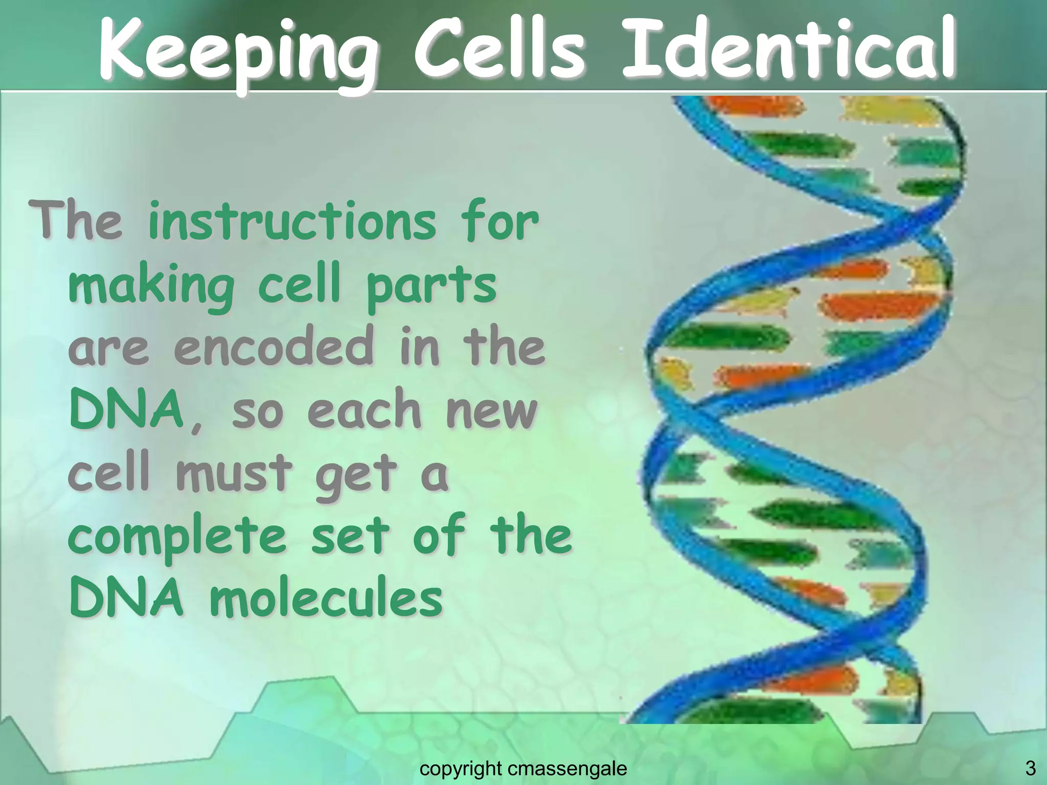 Cell Cycle & Cell Division.ppt