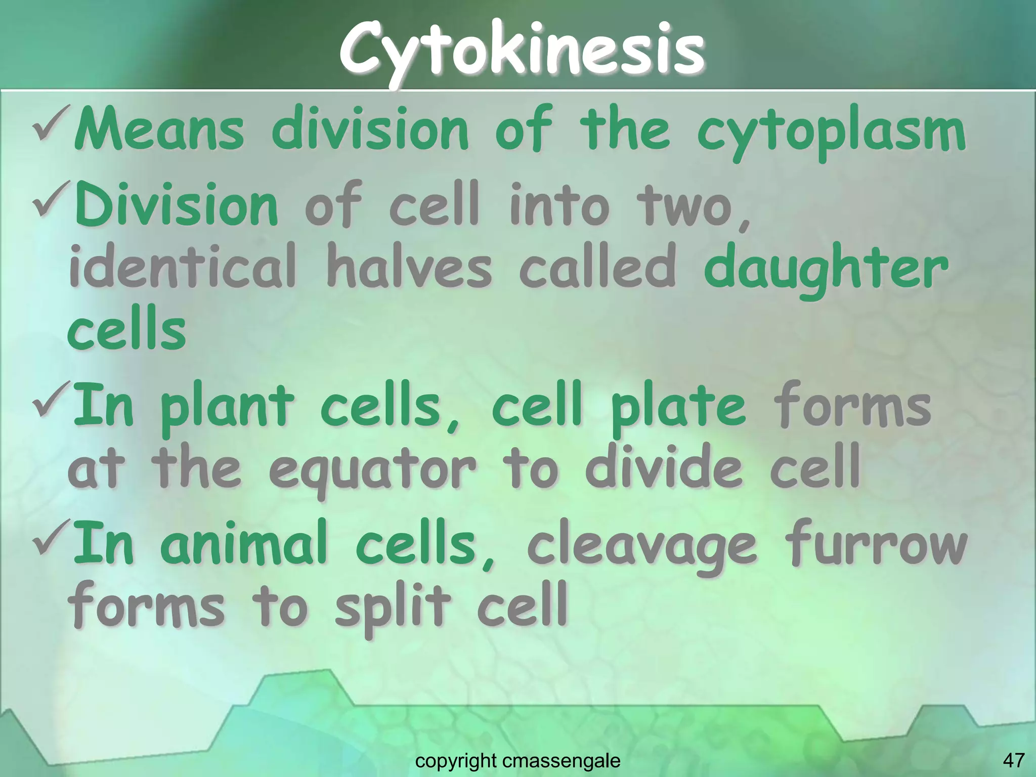 Cell Cycle & Cell Division.ppt