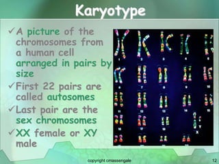 Cell Cycle & Cell Division.ppt