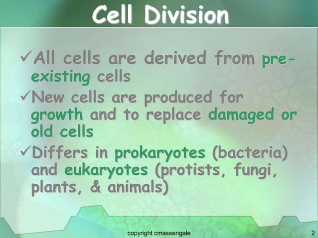 Cell Cycle & Cell Division.ppt