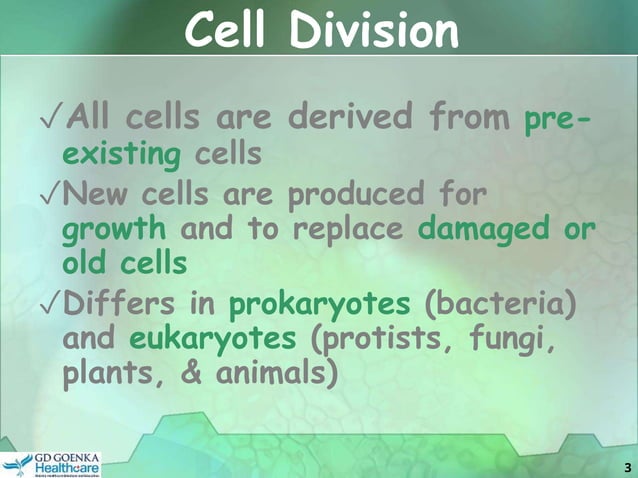 Cell Cycle & Cell Division.ppt.pptx