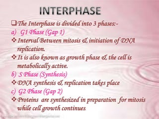 Cell cycle & cell division | PPTX