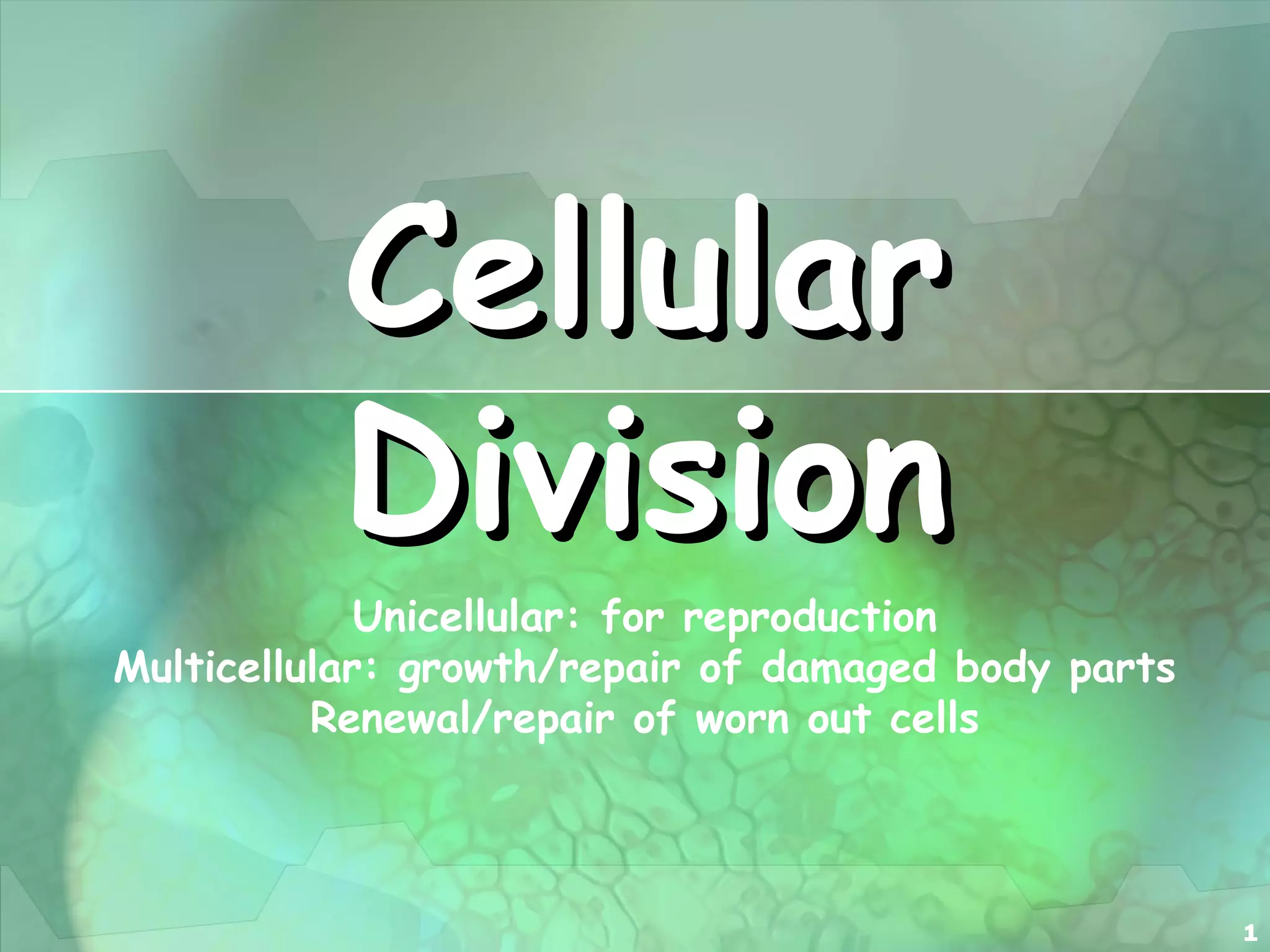 Cell cycle & cell division.htm