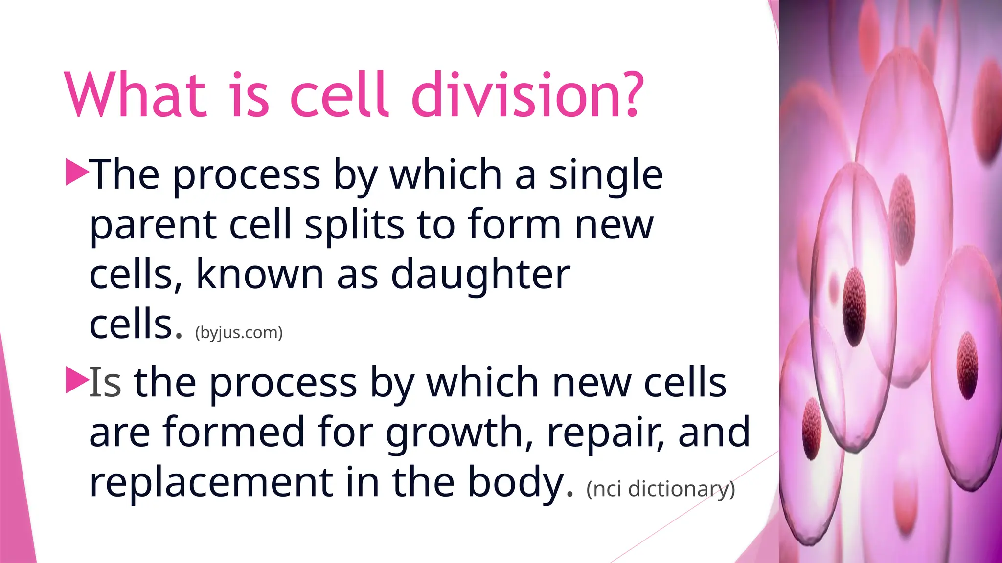 CELL CYCLE CELL DIVISION - mitosis and meiosis comparison and cell ...