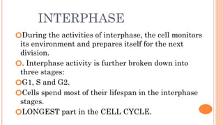 CELL CYCLE CELL DIVISION - mitosis and meiosis comparison and cell ...