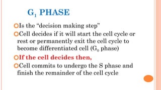 CELL CYCLE CELL DIVISION - mitosis and meiosis comparison and cell ...