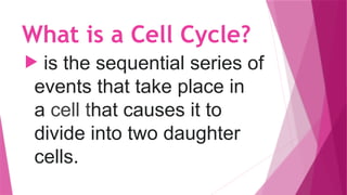 CELL CYCLE CELL DIVISION - mitosis and meiosis comparison and cell ...
