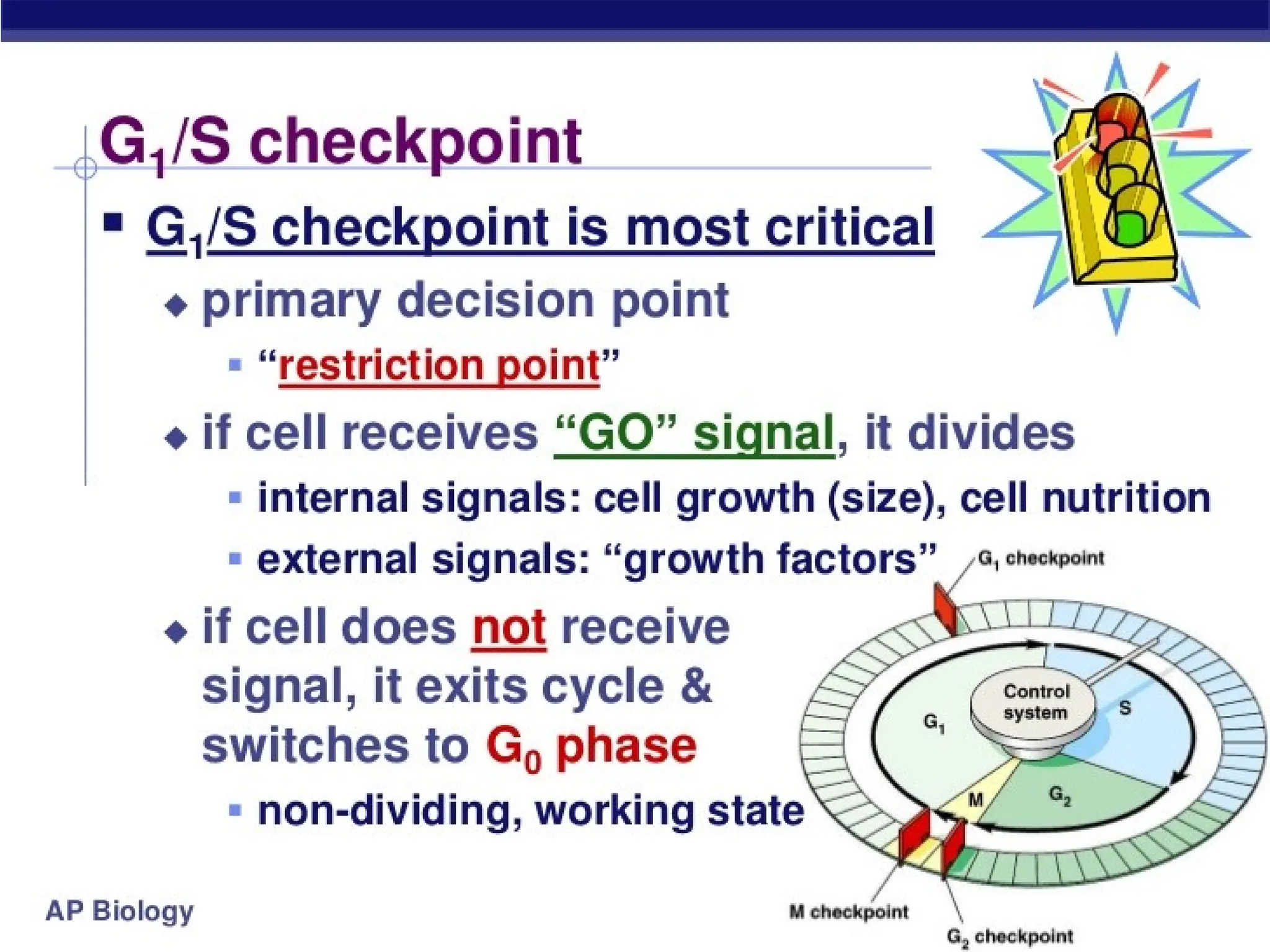 CELL CYCLE CHECKPINTS.pptx pharmacology ii | PPTX