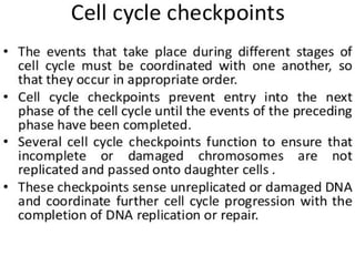 CELL CYCLE CHECKPINTS.pptx pharmacology ii | PPTX