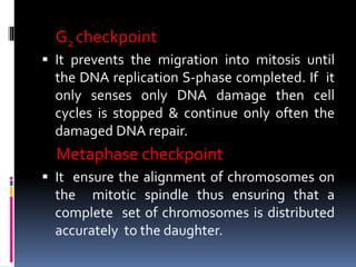Cell cycle check point By KK Sahu Sir | PPT | Biological Sciences | Science
