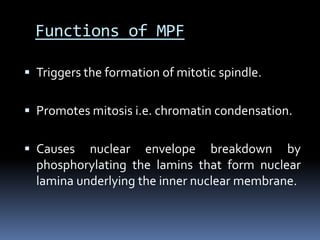 Cell cycle check point By KK Sahu Sir | PPT | Biological Sciences | Science