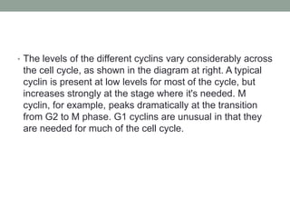Cell cycle checkpoints and Regulation | PPTX