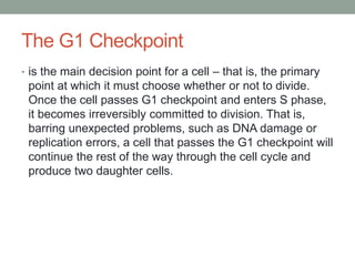 Cell cycle checkpoints and Regulation | PPTX