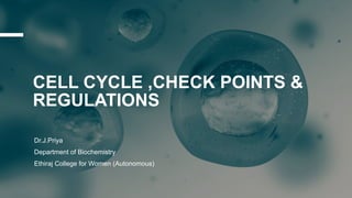 CELL CYCLE,CHECK POINTS AND REGULATION.pptx.pdf