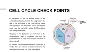 CELL CYCLE,CHECK POINTS AND REGULATION.pptx.pdf | Biological Sciences | Science
