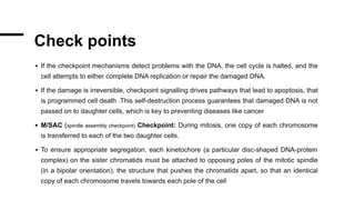 CELL CYCLE,CHECK POINTS AND REGULATION.pptx.pdf | Biological Sciences ...