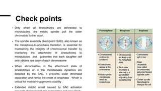 CELL CYCLE,CHECK POINTS AND REGULATION.pptx.pdf | Biological Sciences ...