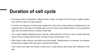 CELL CYCLE,CHECK POINTS AND REGULATION.pptx.pdf