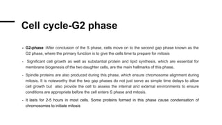 CELL CYCLE,CHECK POINTS AND REGULATION.pptx.pdf