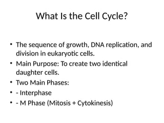 Cell_Cycle_Control_Points_Presentation_Quiz [Autosaved].pptx