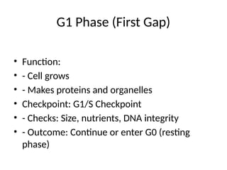 Cell_Cycle_Control_Points_Presentation_Quiz [Autosaved].pptx