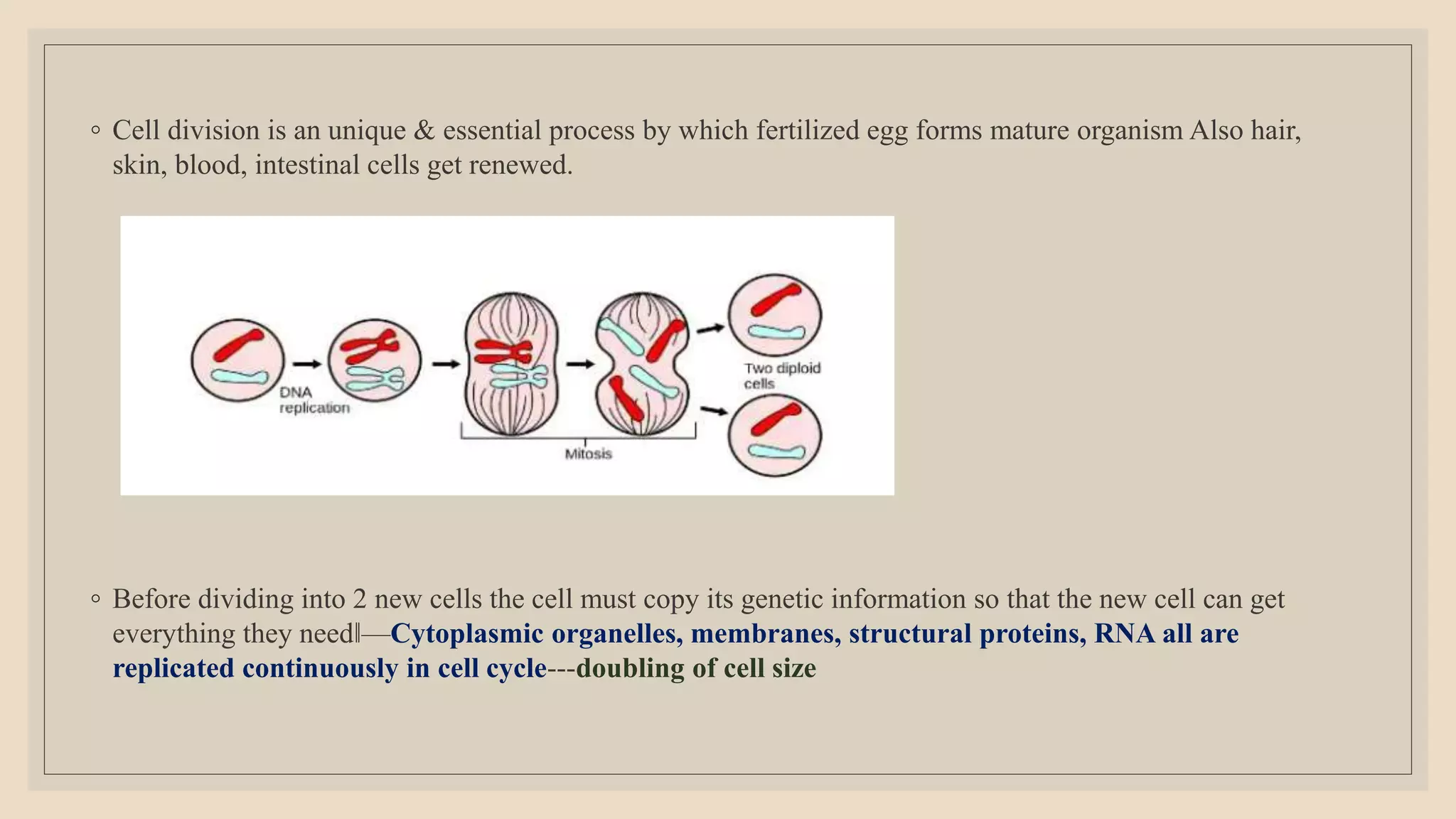 Cell cycle & DNA repair | PPTX