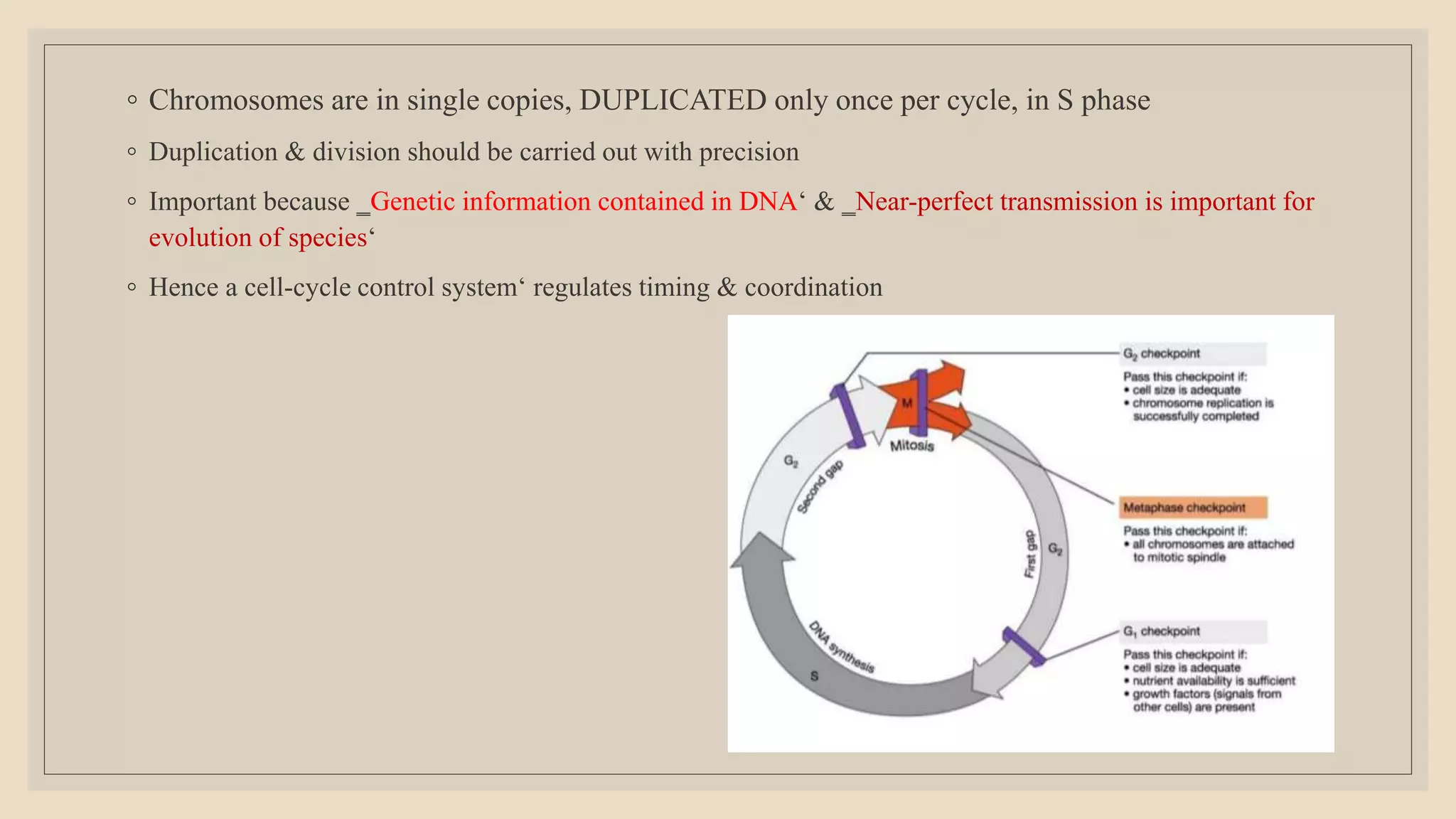 Cell cycle & DNA repair | PPTX