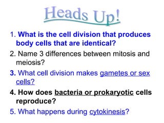 3.07Cell cycle and Mitosis | PPT