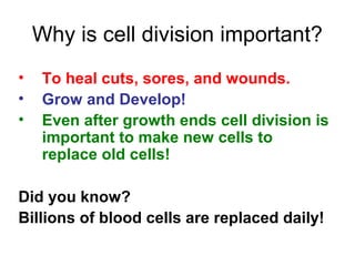 3.07Cell cycle and Mitosis | PPT