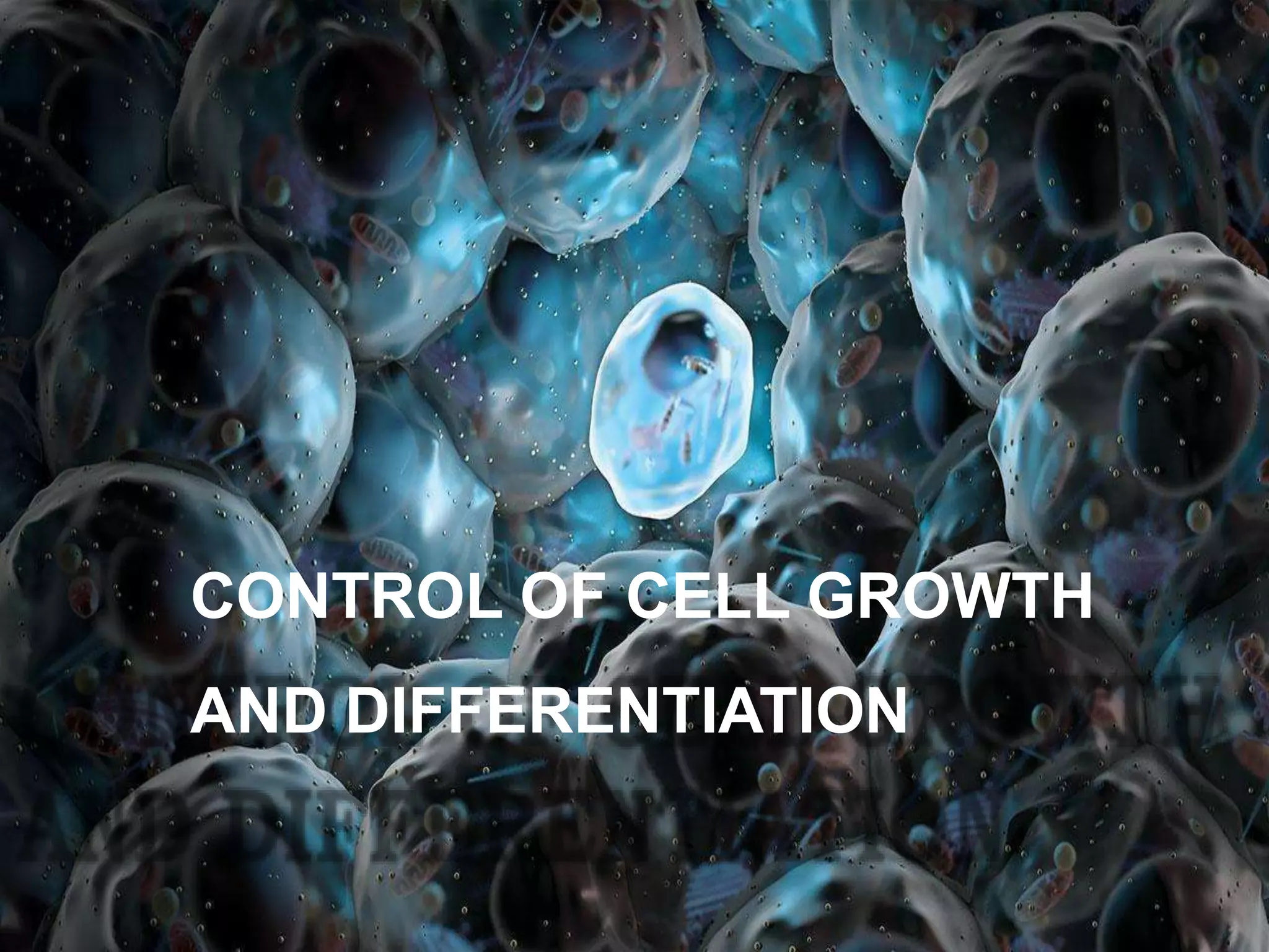 CELL CYCLE | PPTX