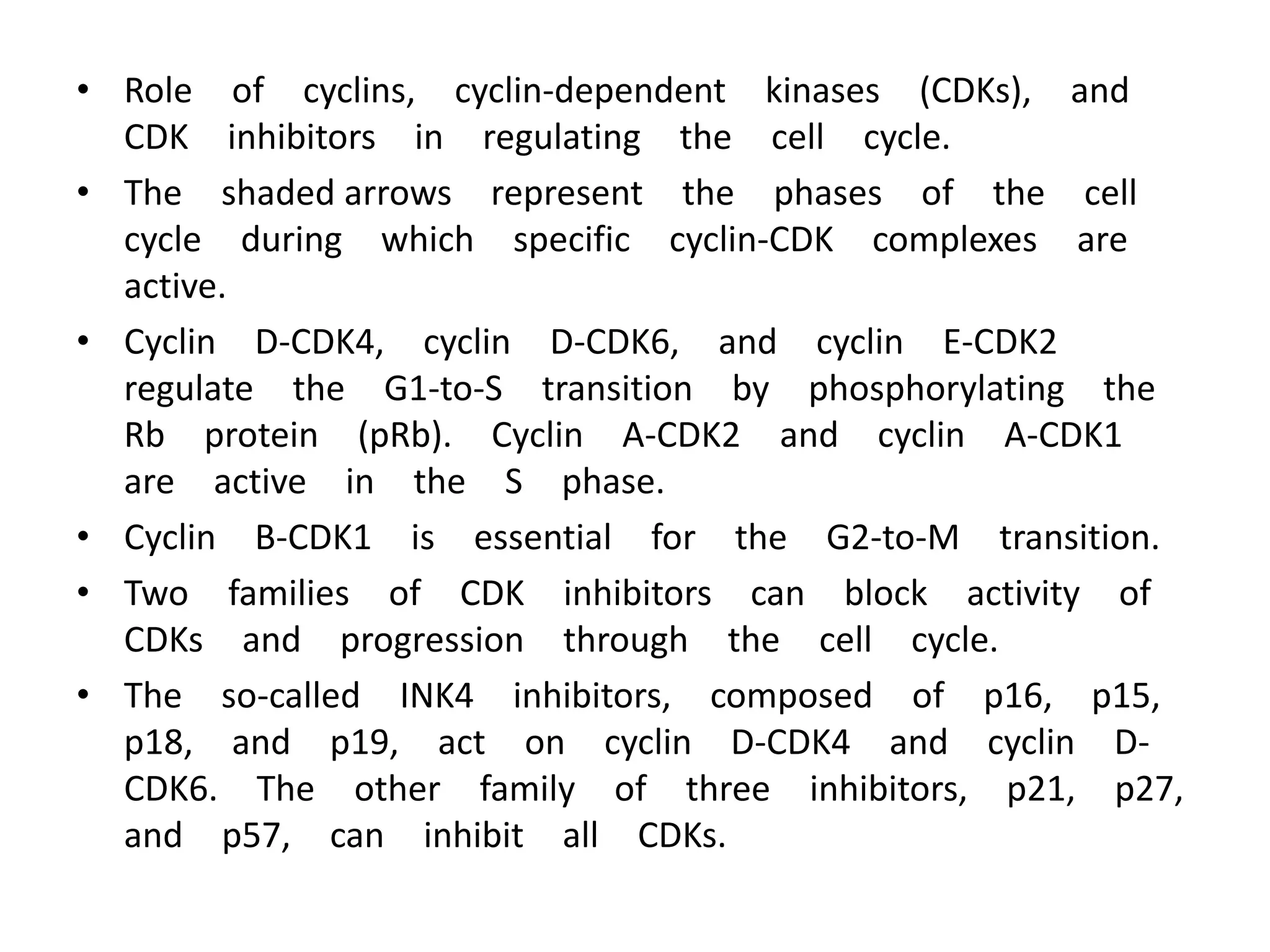 CELL CYCLE | PPTX