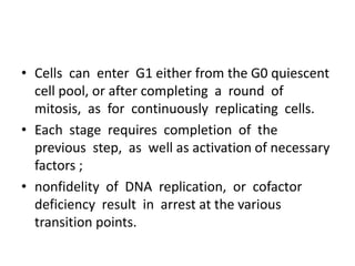 CELL CYCLE | PPTX