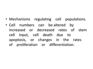 CELL CYCLE | PPTX