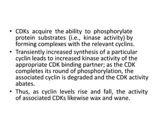 CELL CYCLE | PPTX