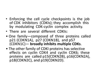 CELL CYCLE | PPTX