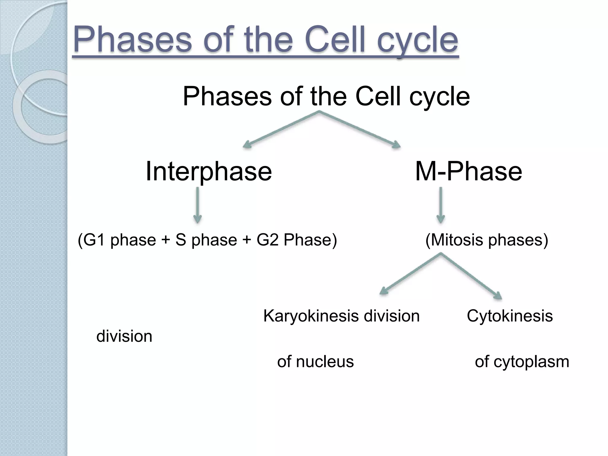 Cell cycle and division | PPT