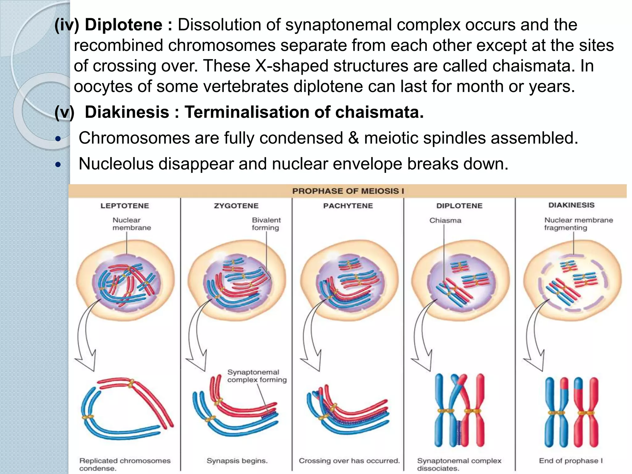 Cell cycle and division | PPTX